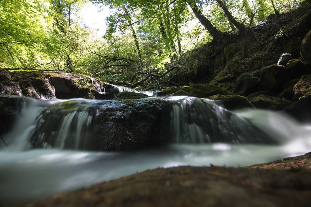 Withey Brook leading to the River Lynher, within Trebartha Gardens ...